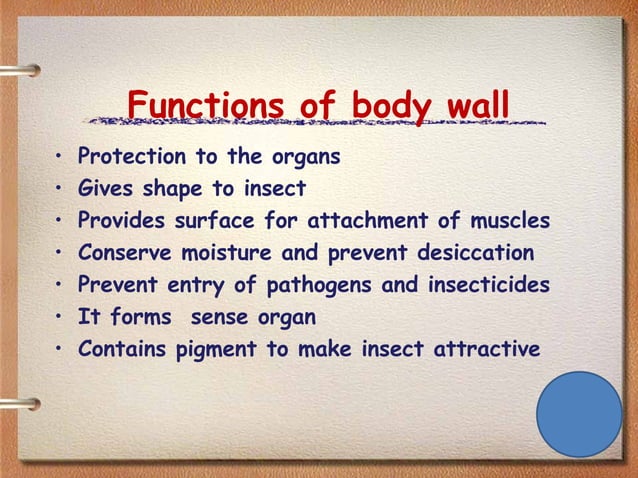 Insect integument | PPT | Chemistry | Science