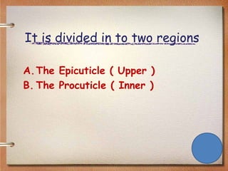 Insect integument | PPT | Chemistry | Science