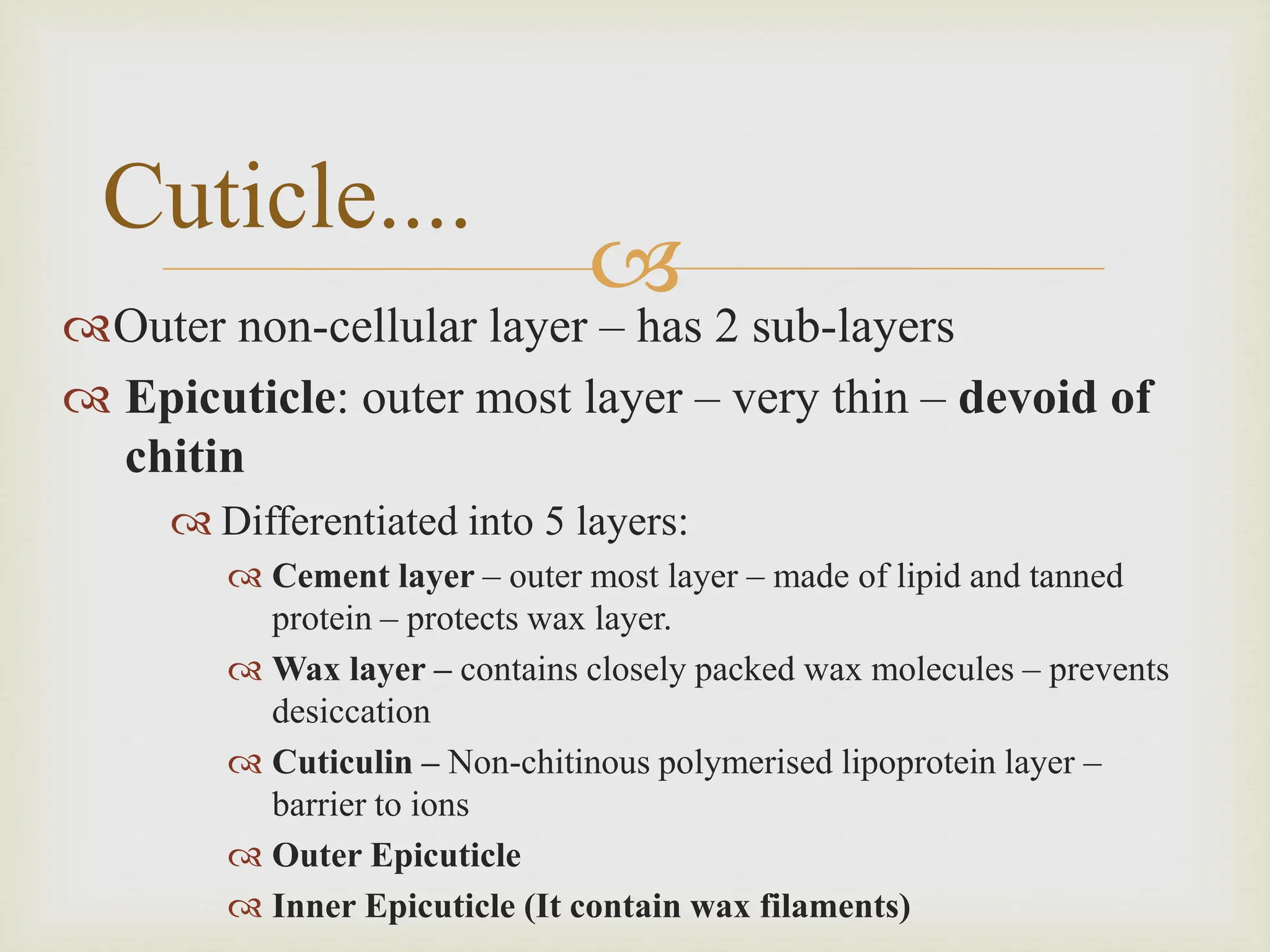 insect body wall - strcture and their function | PPTX