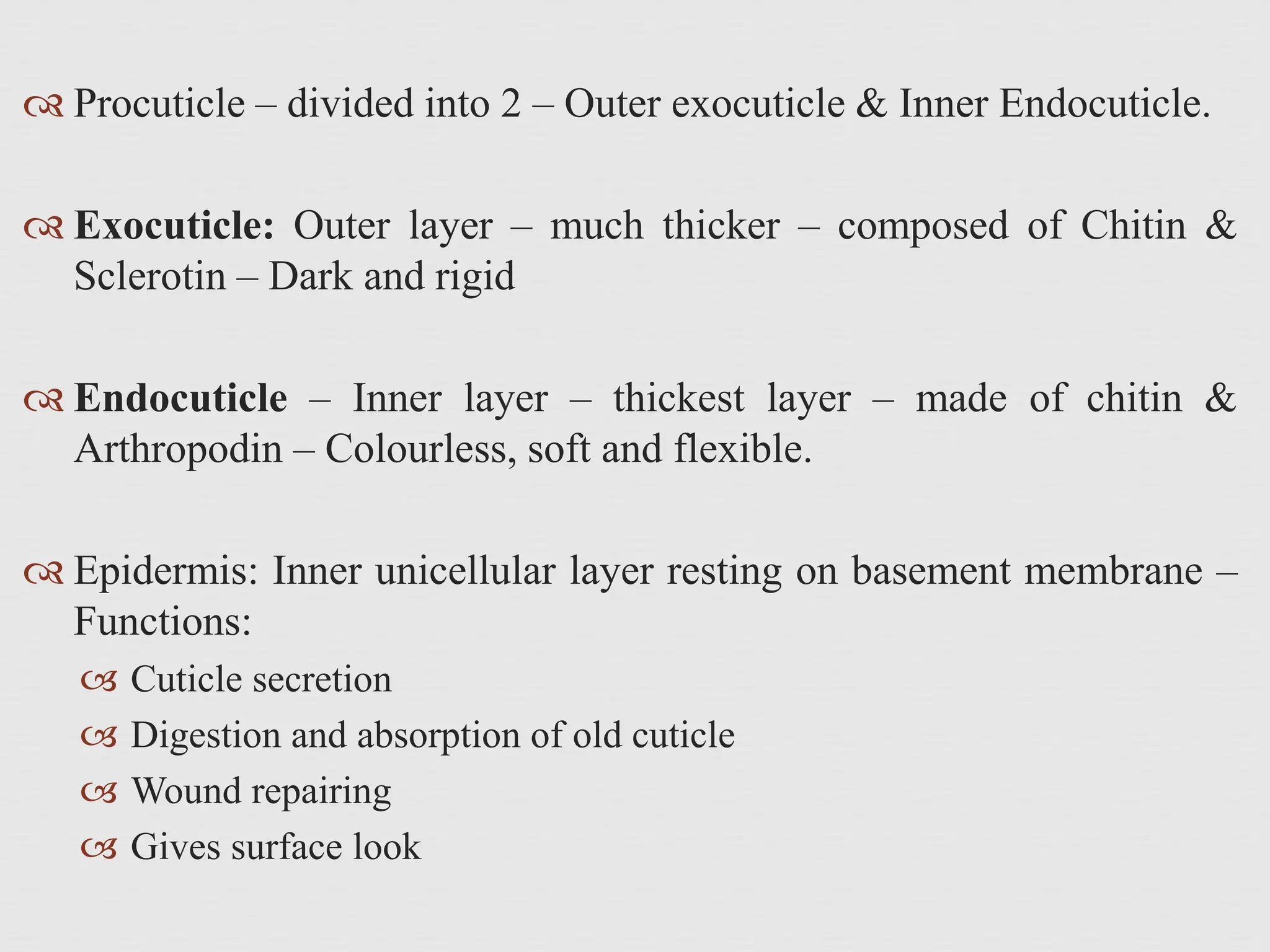 insect body wall - strcture and their function | PPTX