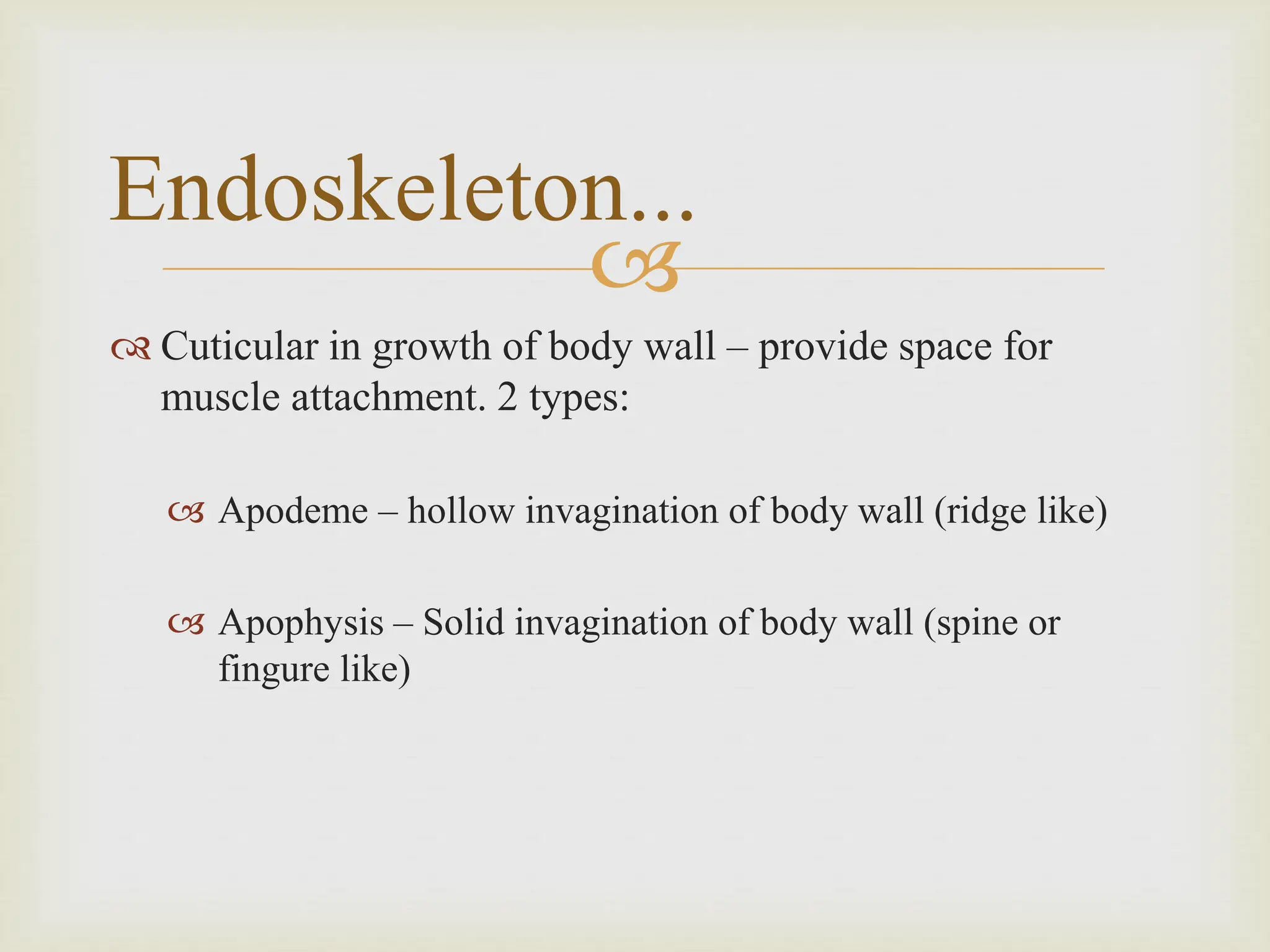 insect body wall - strcture and their function | PPTX