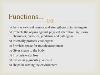 insect body wall - strcture and their function | PPTX