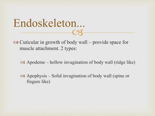 insect body wall - strcture and their function | PPTX