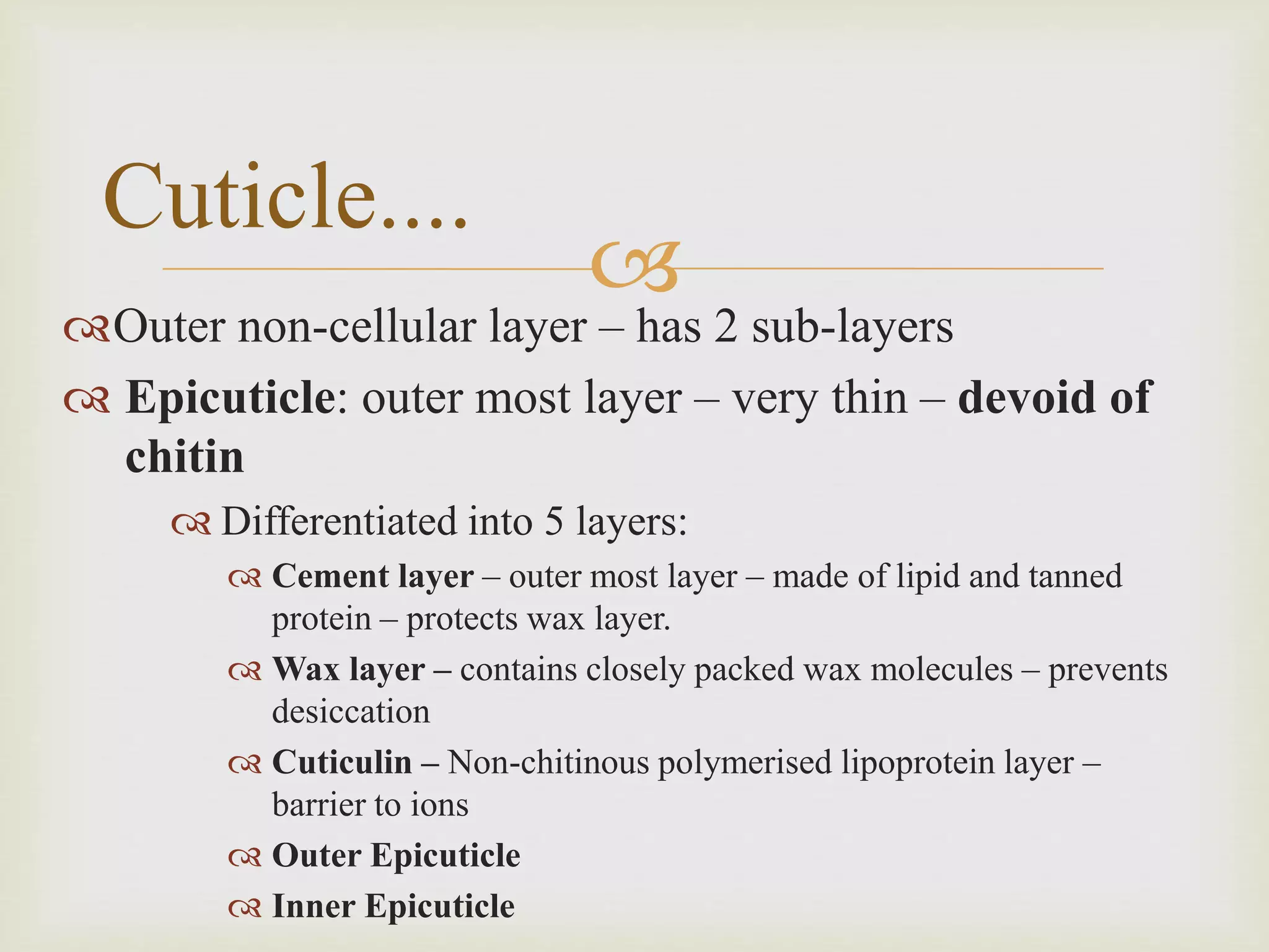 Insect integument - Entomology | PPTX