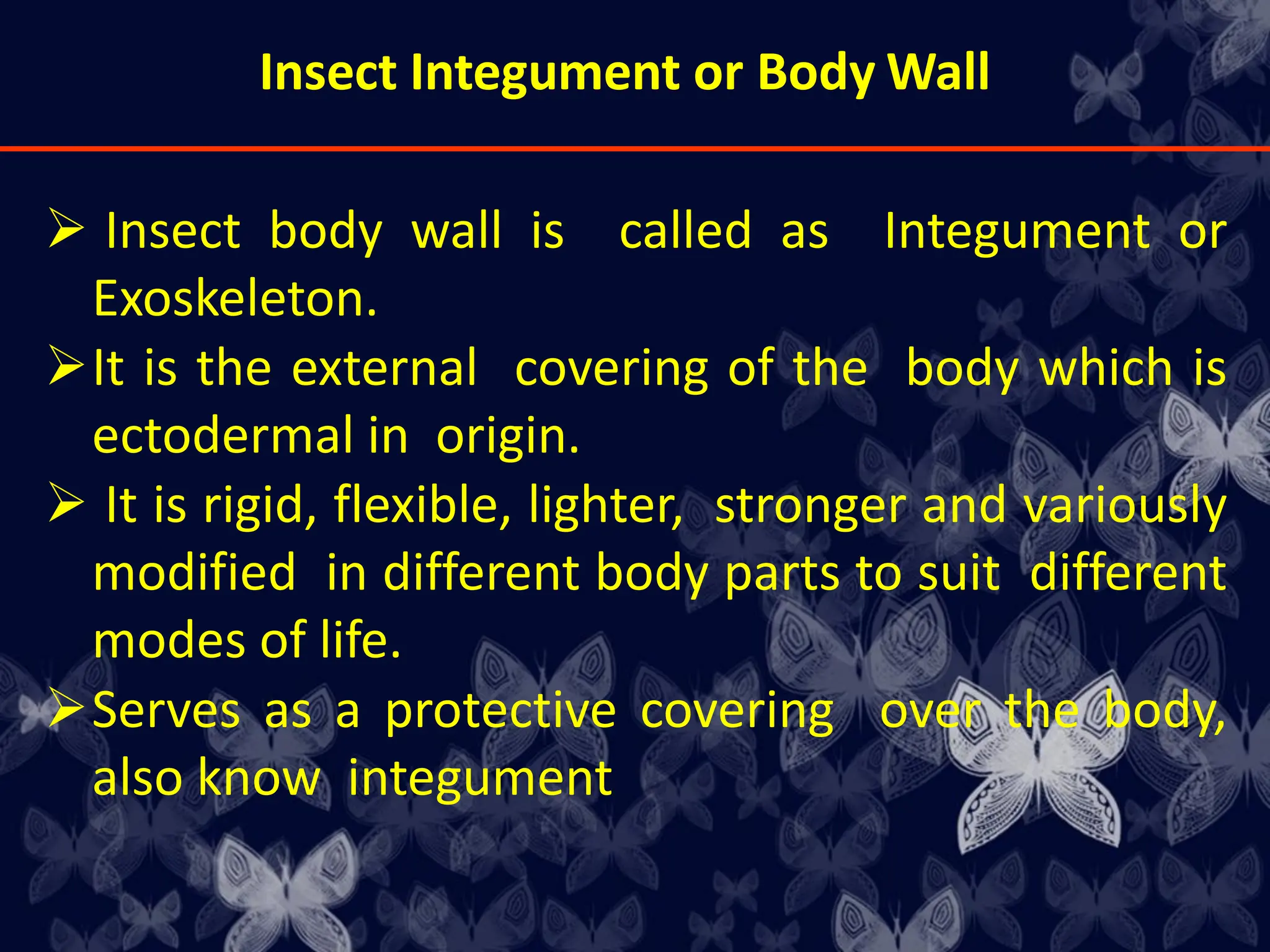 Insect body wall is called as Integument or Exoskeleton insect ...