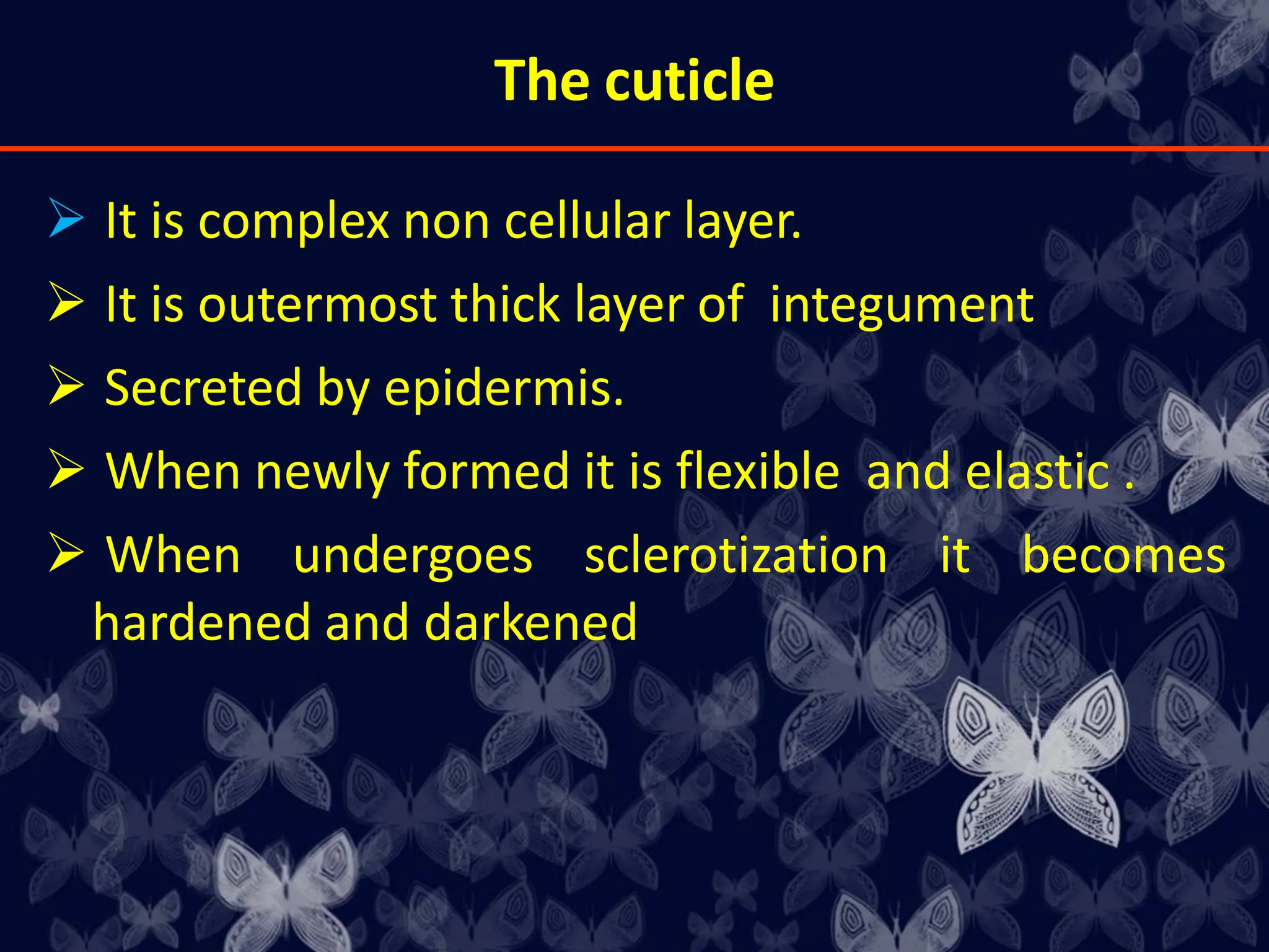 Insect body wall is called as Integument or Exoskeleton insect ...