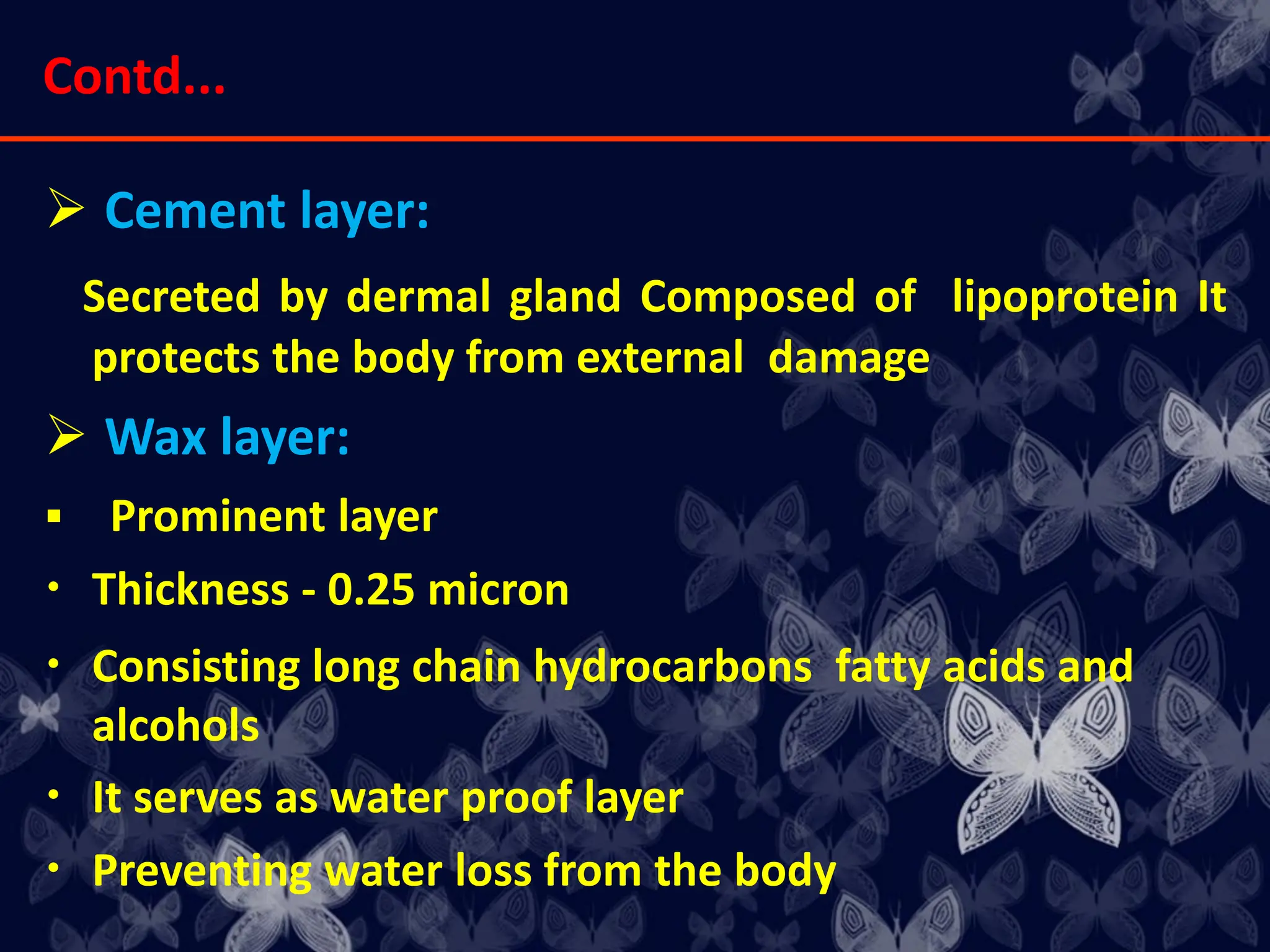 Insect body wall is called as Integument or Exoskeleton insect ...
