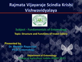 Insect body wall is called as Integument or Exoskeleton insect ...