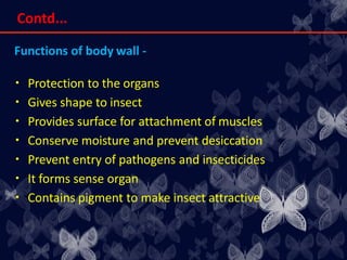 Insect body wall is called as Integument or Exoskeleton insect ...