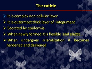 Insect body wall is called as Integument or Exoskeleton insect ...