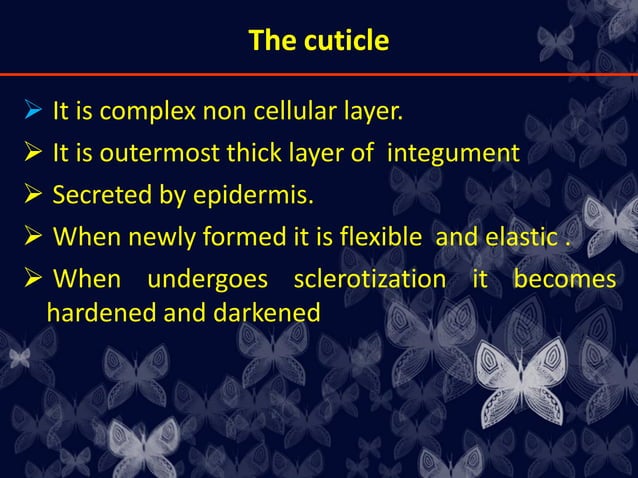 Insect body wall is called as Integument or Exoskeleton insect ...