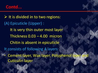 Insect body wall is called as Integument or Exoskeleton insect ...