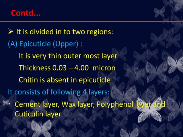 Insect body wall is called as Integument or Exoskeleton insect ...