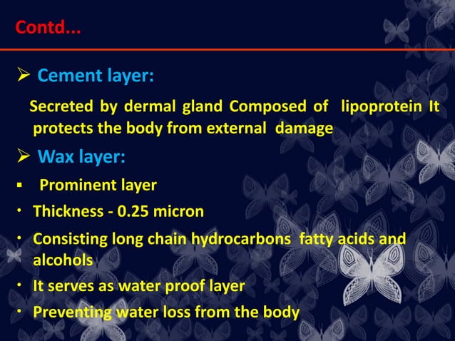 Insect body wall is called as Integument or Exoskeleton insect ...