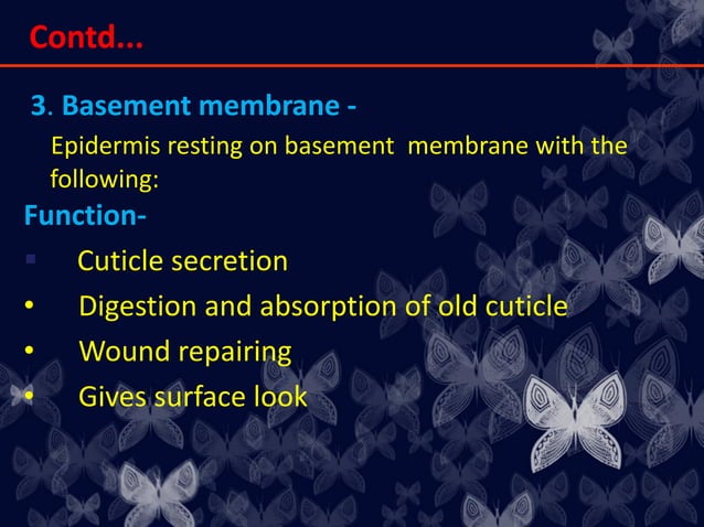 Insect body wall is called as Integument or Exoskeleton insect ...