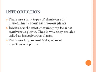 Insectivorous plants | PDF