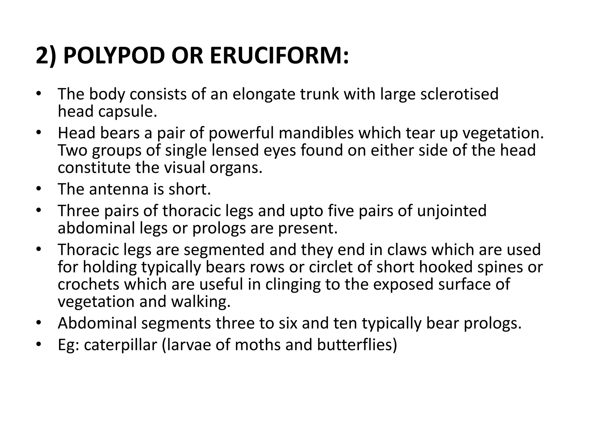 Types of Insect larvae | PPTX