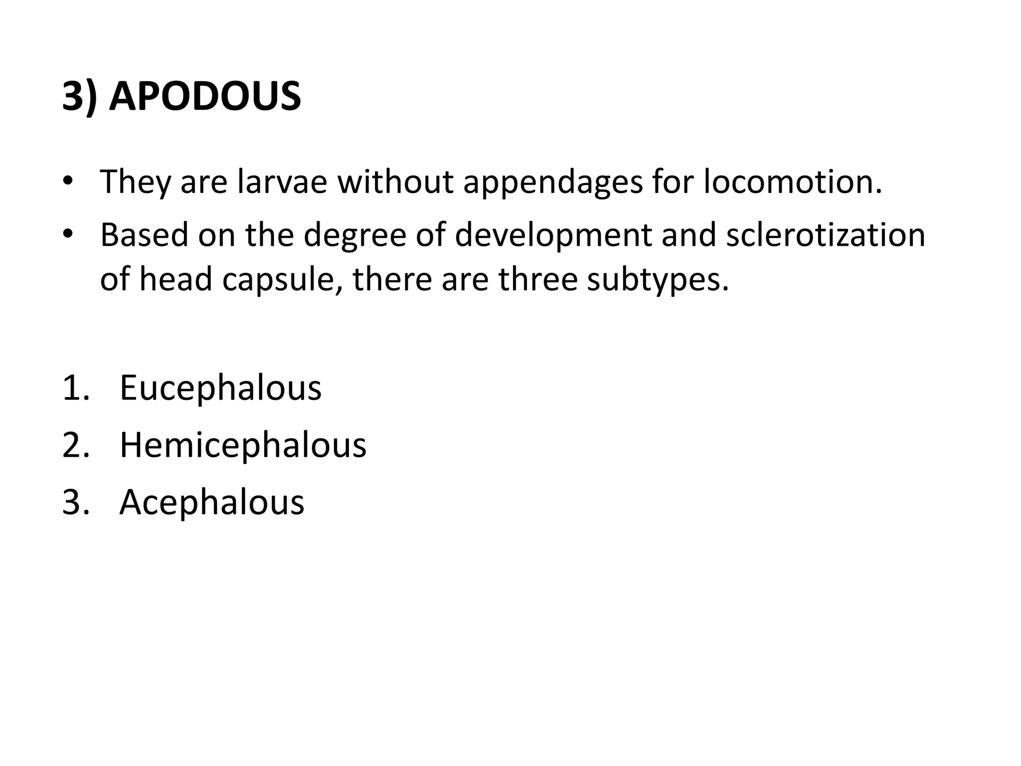 Types of Insect larvae | PPTX