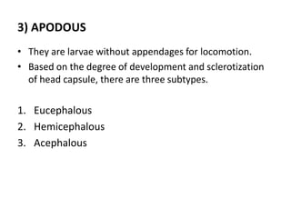 Types of Insect larvae | PPTX