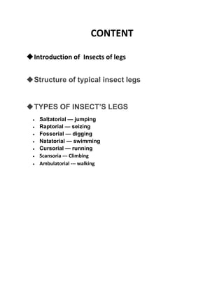 Insect legs and it's modifications | PDF