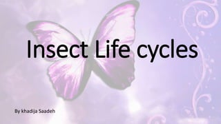 Insect life cycle (grasshopper and ladybug) | PPTX