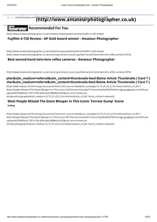 Insect macro photography tips | PDF