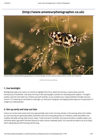 Insect macro photography tips | PDF