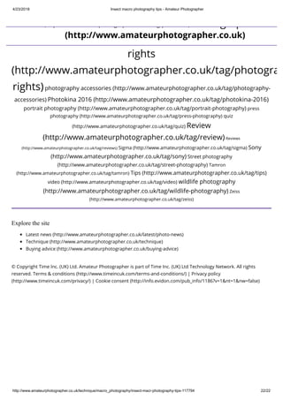 Insect macro photography tips | PDF