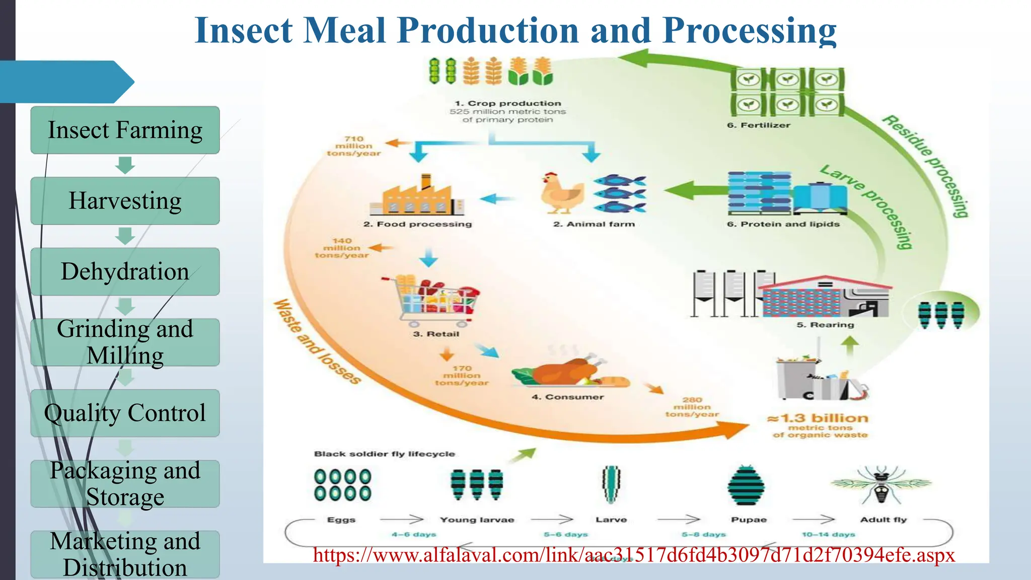 Insect Meal as an Alternative Protein Source for poultry | PPTX