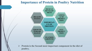 Insect Meal as an Alternative Protein Source for poultry | PPTX