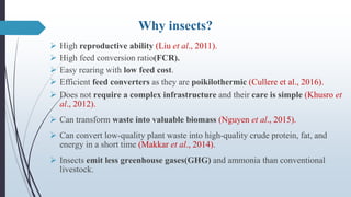Insect Meal as an Alternative Protein Source for poultry | PPTX