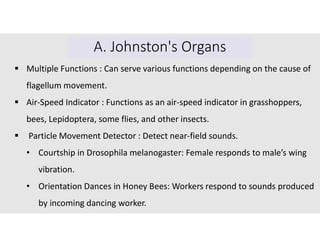 INSECT MECHANORECEPTORS: Exploring Sensory Function and Adaptive ...