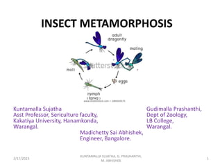 Insect Metamorphosis.pptx