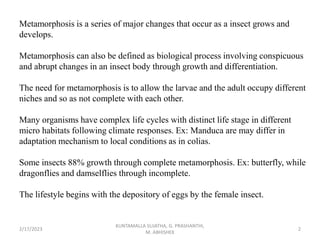 Insect Metamorphosis.pptx