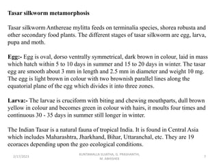 Insect Metamorphosis.pptx