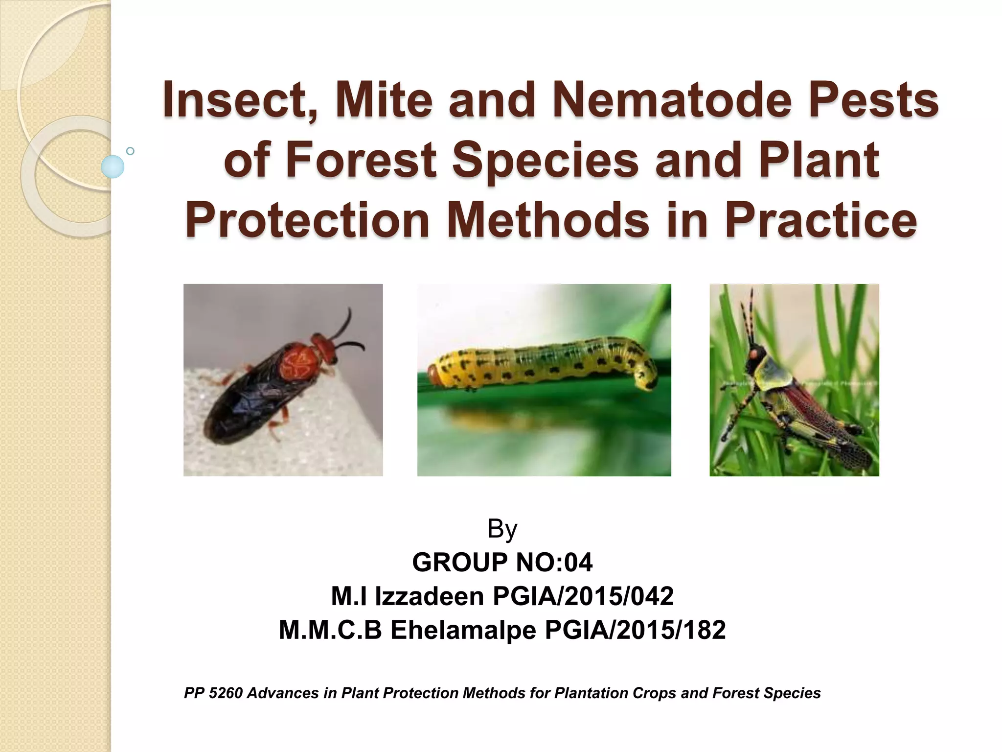 Insect, mite and nematode pests of forest | PPTX