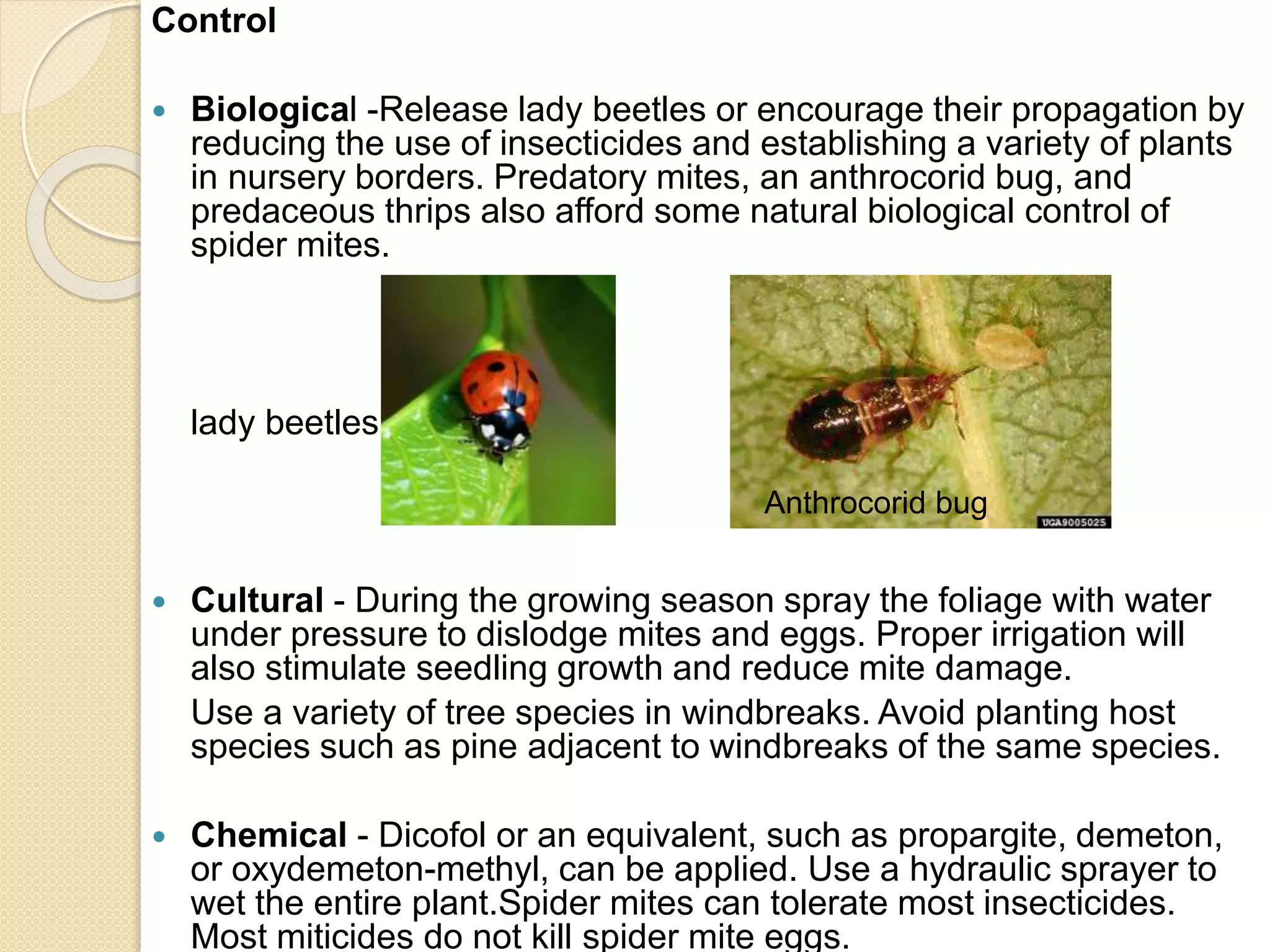 Insect, mite and nematode pests of forest | PPTX