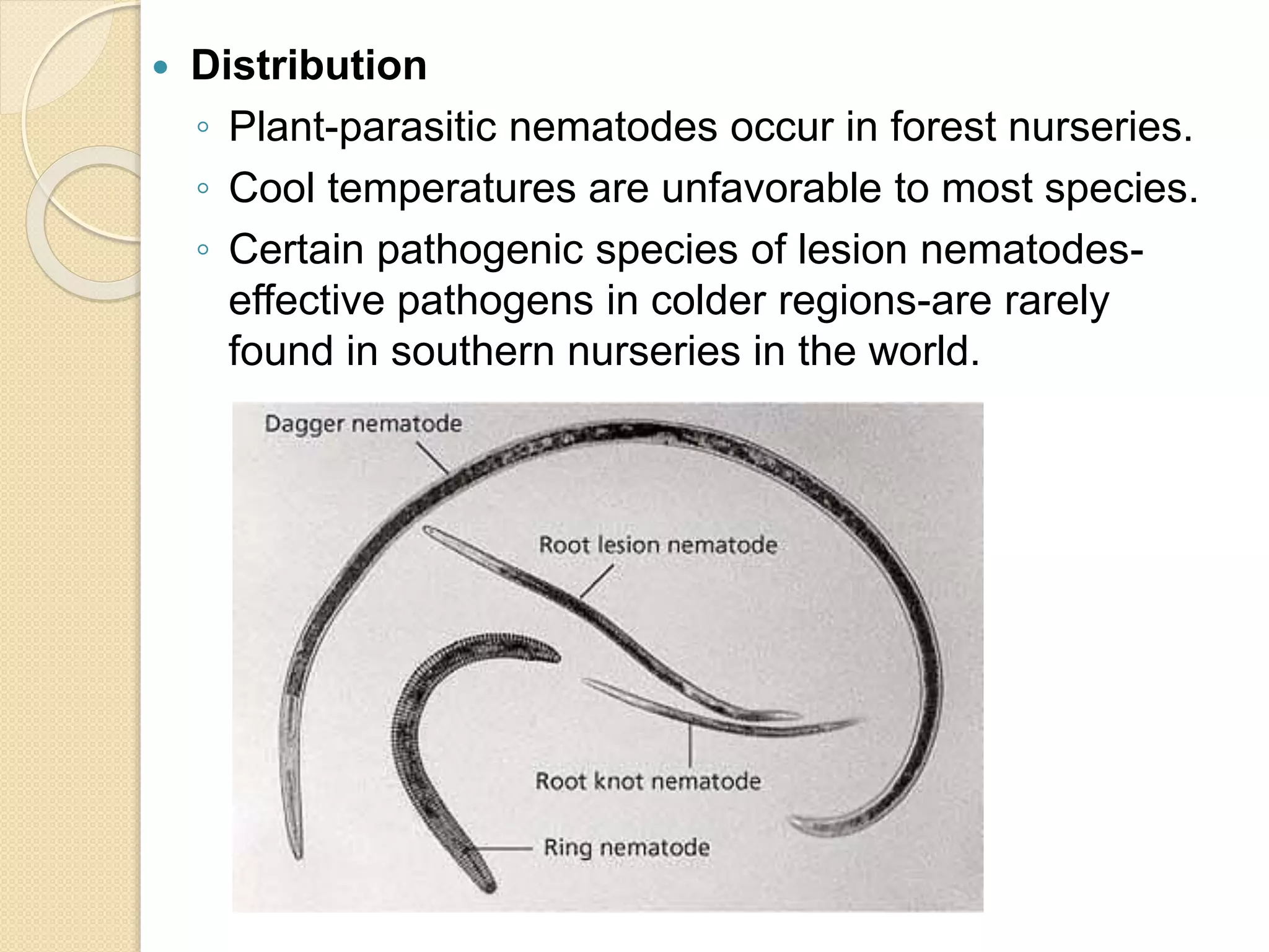 Insect, mite and nematode pests of forest | PPTX