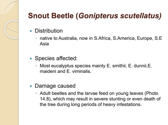 Insect, mite and nematode pests of forest | PPTX