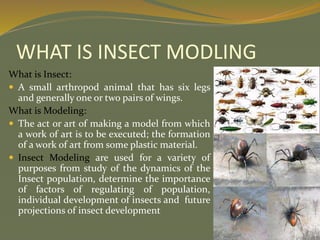 Insect Modeling by Muhammad Qasim, Aroj Bashir | PPTX
