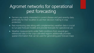 Insect monitoring forecasting | PPT