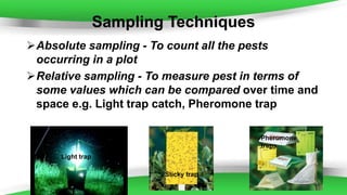 Insect monitoring and forecasting | PPTX