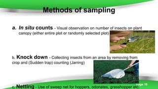 Insect monitoring and forecasting | PPTX