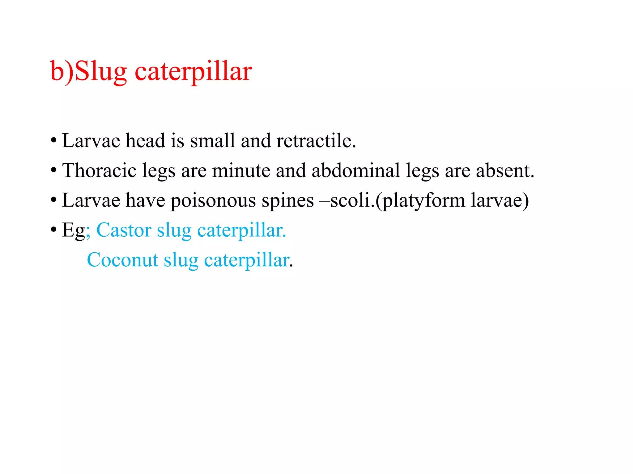 Immature stages of insects and Its types (Classification) | PPTX