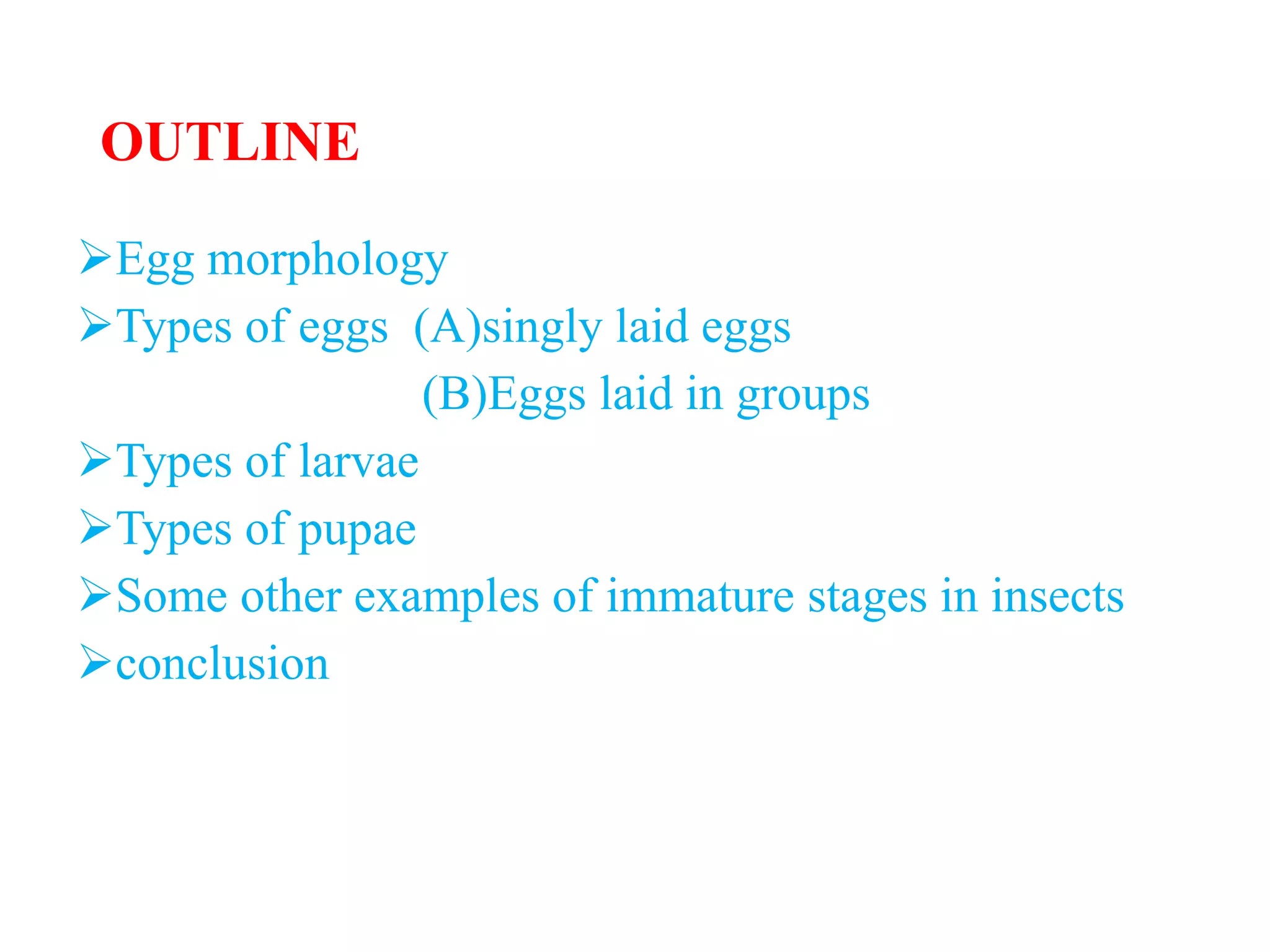 Immature stages of insects and Its types (Classification) | PPTX