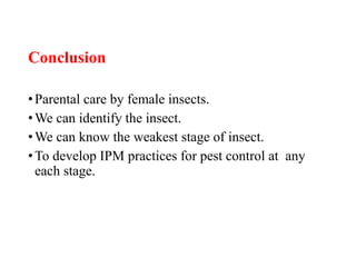 Immature stages of insects and Its types (Classification) | PPTX