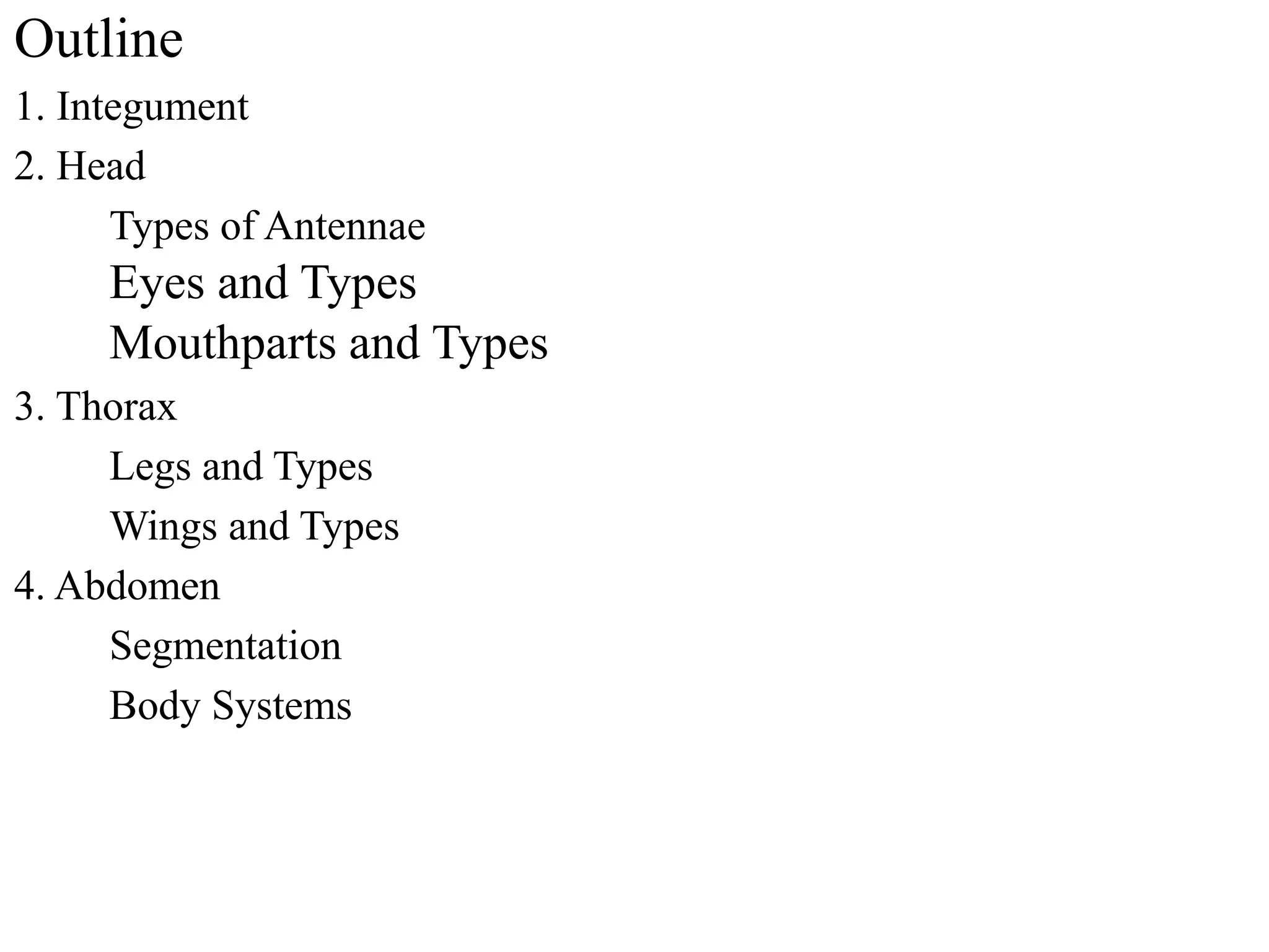 Insect morphology insect morphology insect morphology | PDF