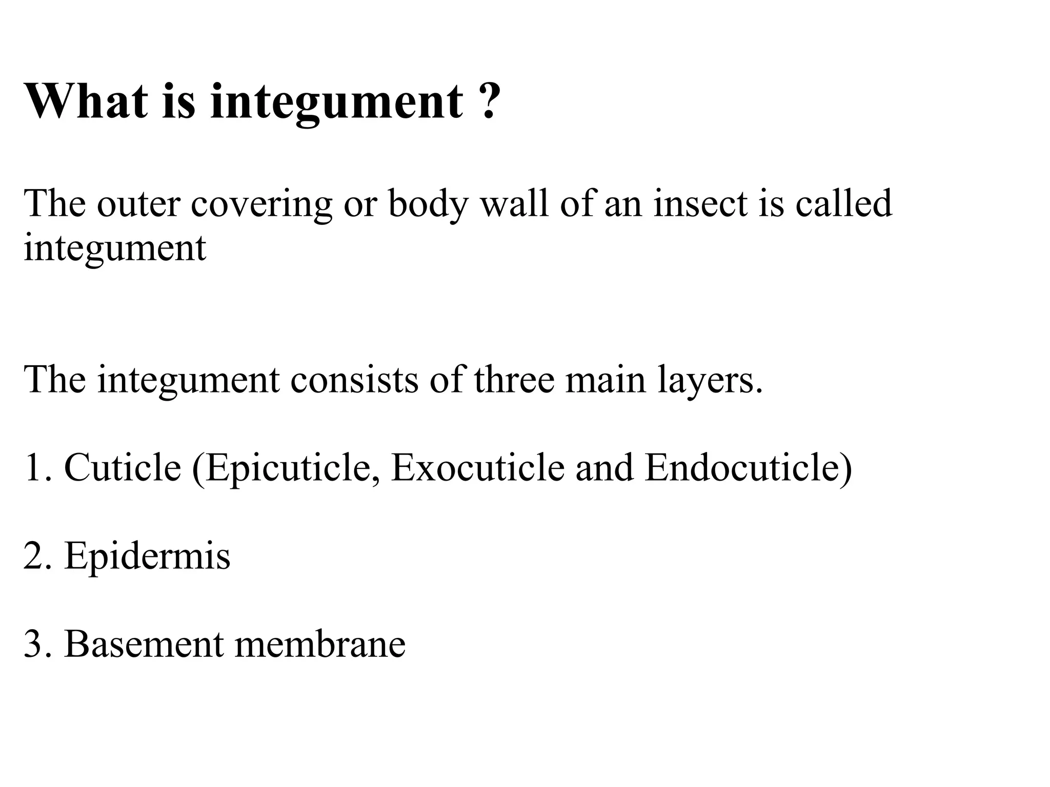 Insect morphology insect morphology insect morphology | PDF