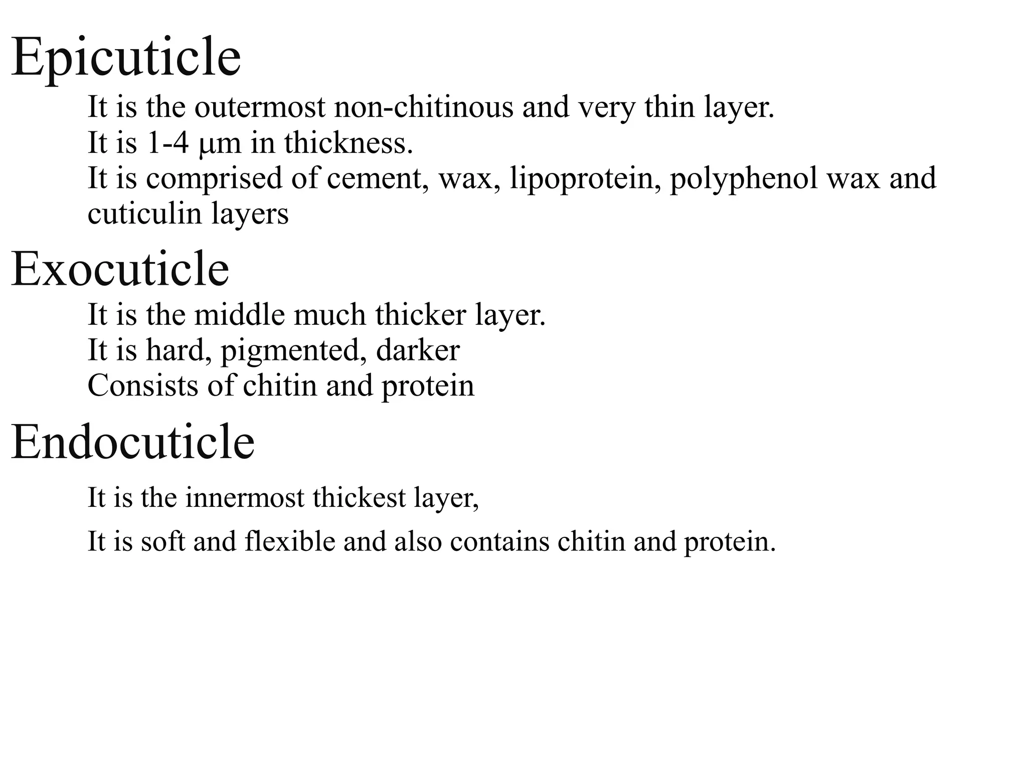 Insect morphology insect morphology insect morphology | PDF