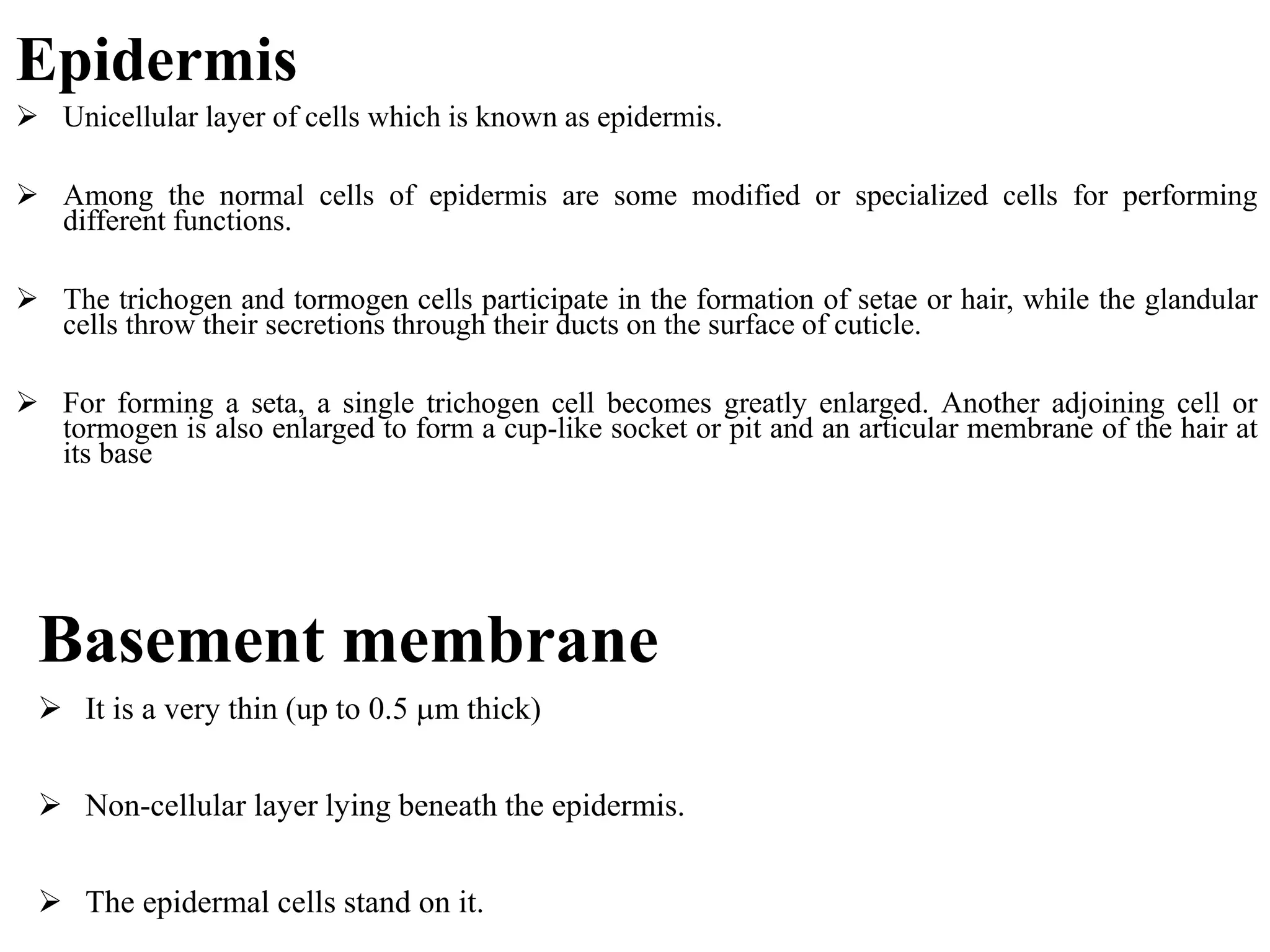 Insect morphology insect morphology insect morphology | PDF